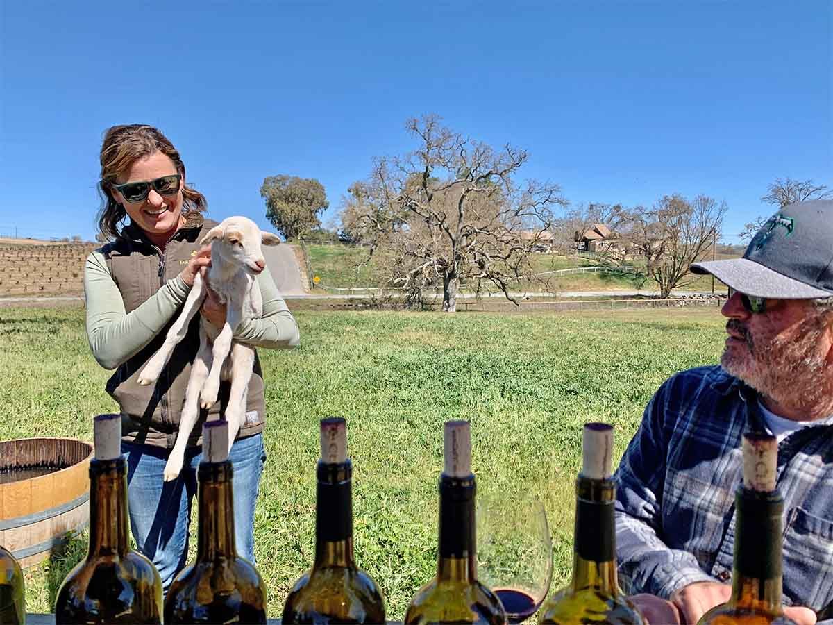 Southern Italian Grapes in the New World - Robert Camuto author